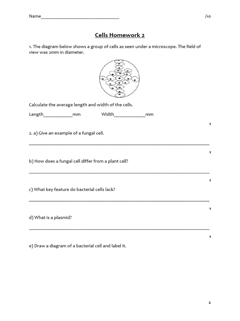 Cell structure homework biology | PDF