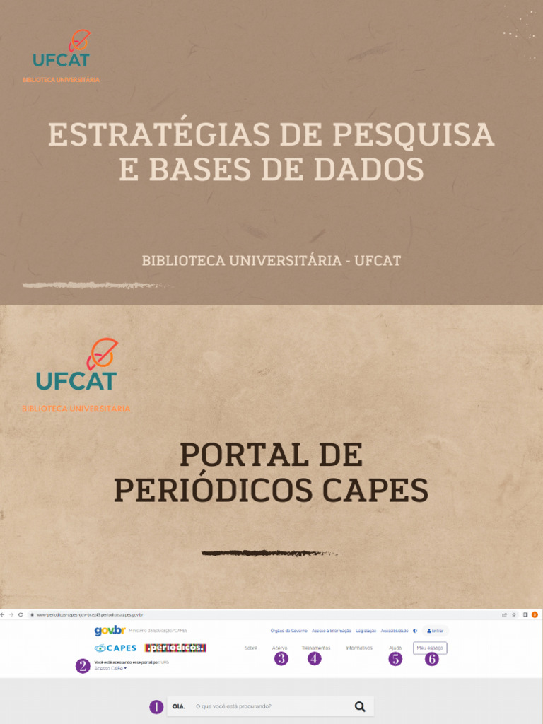 Tutorial Portal Capes | PDF