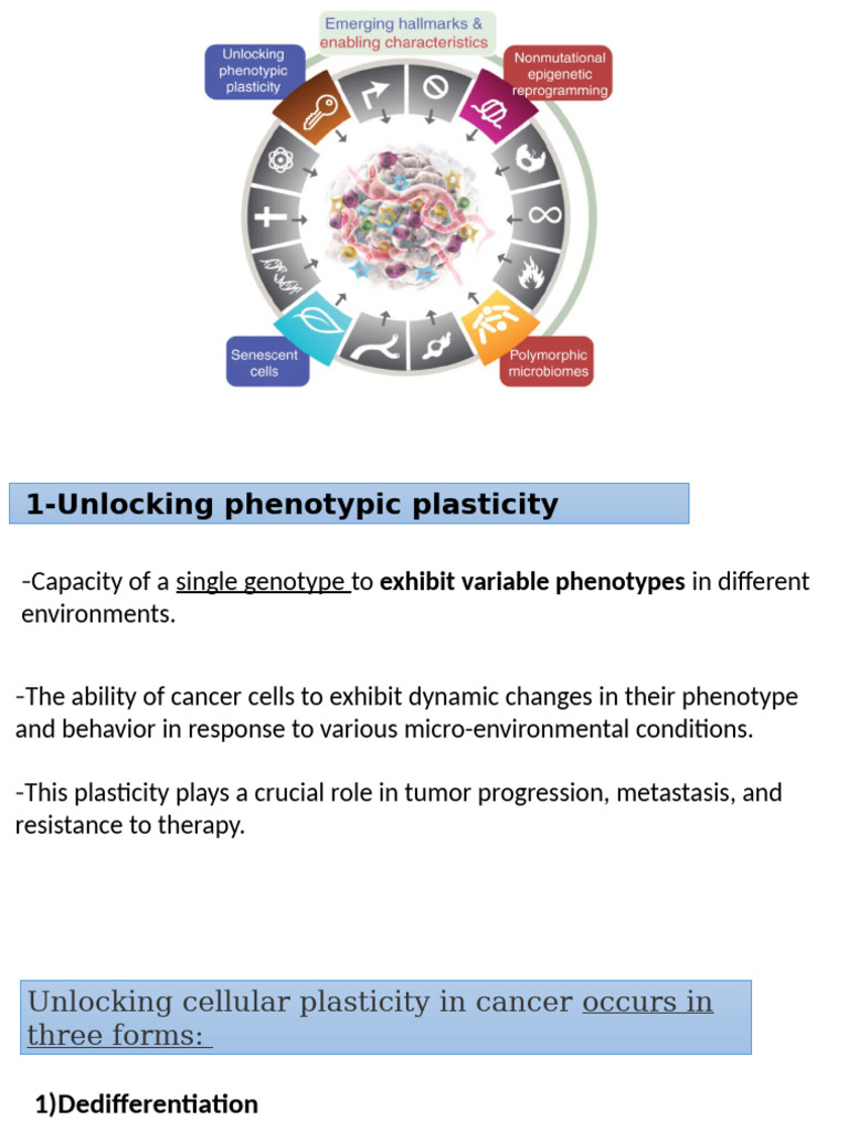 New Hallmarks of Cancer by Radwa | PDF | Histone | Self-Improvement