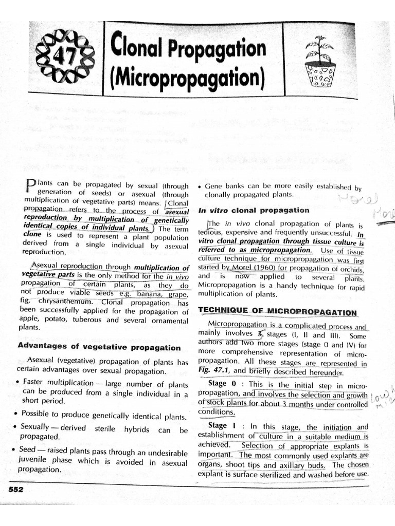 Clonal Propagation | PDF