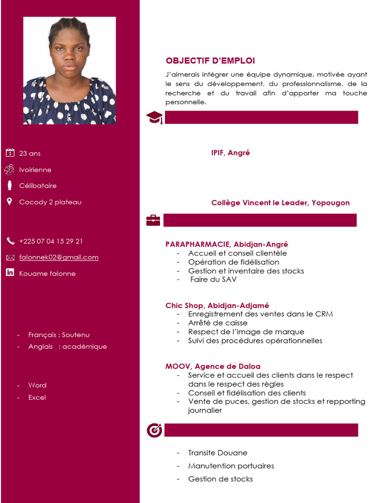 CV Kouame Amani Falonne | PDF