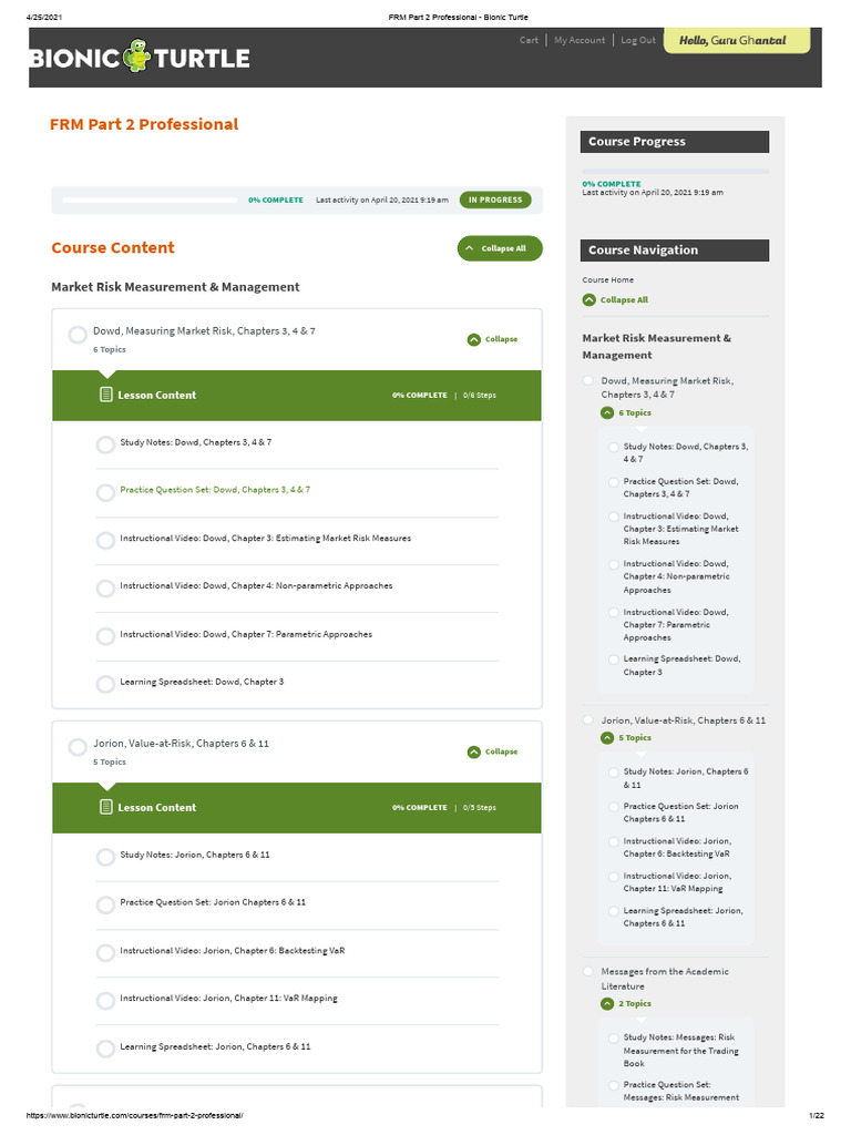 Bionic Turtle Content | PDF