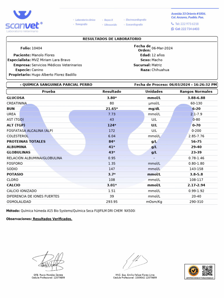 Resultados 10404 Manolo Flores 3 | PDF