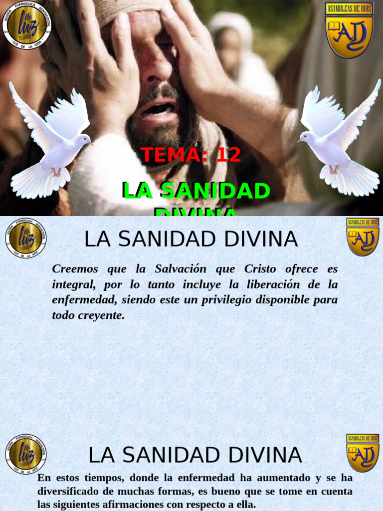 12 La Sanidad Divina | PDF