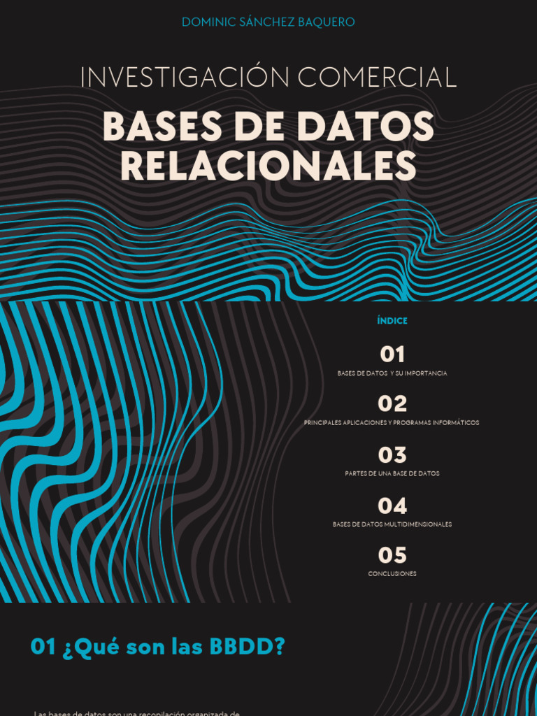 Presentación Bases de Datos | PDF