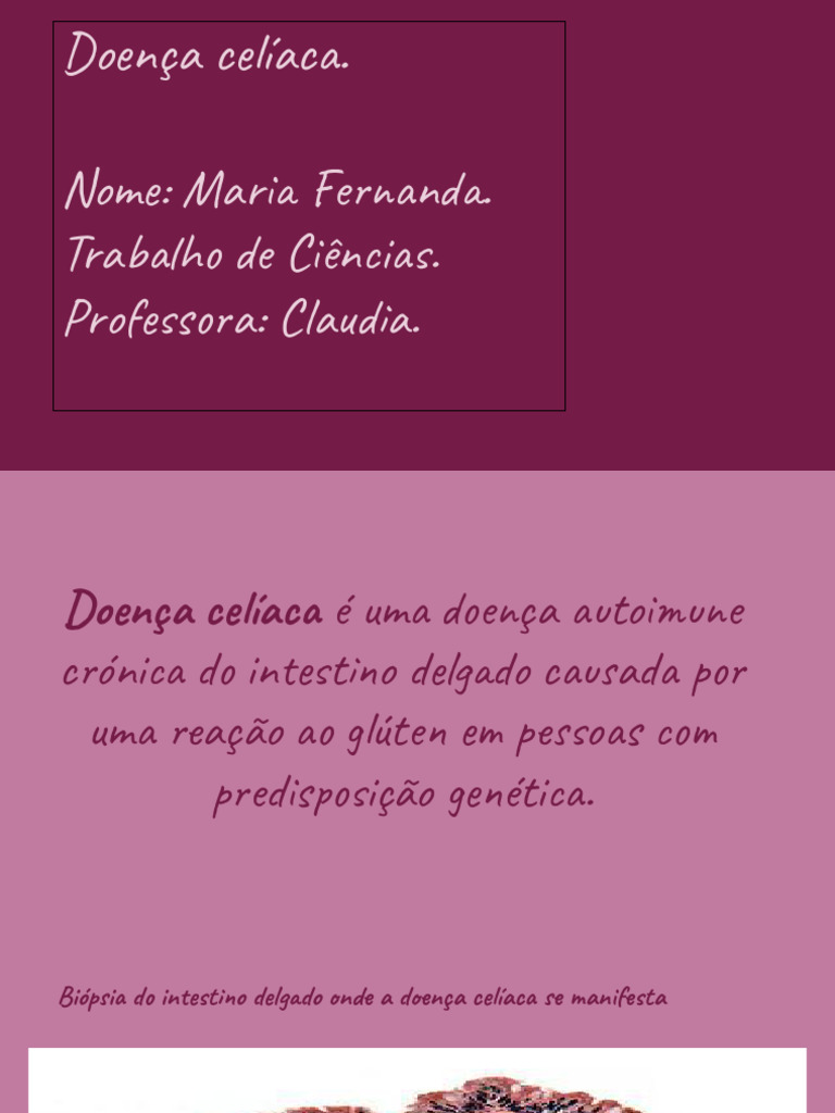 Projeto de Ciências 2 Da Maria Fernanda 7c. | PDF