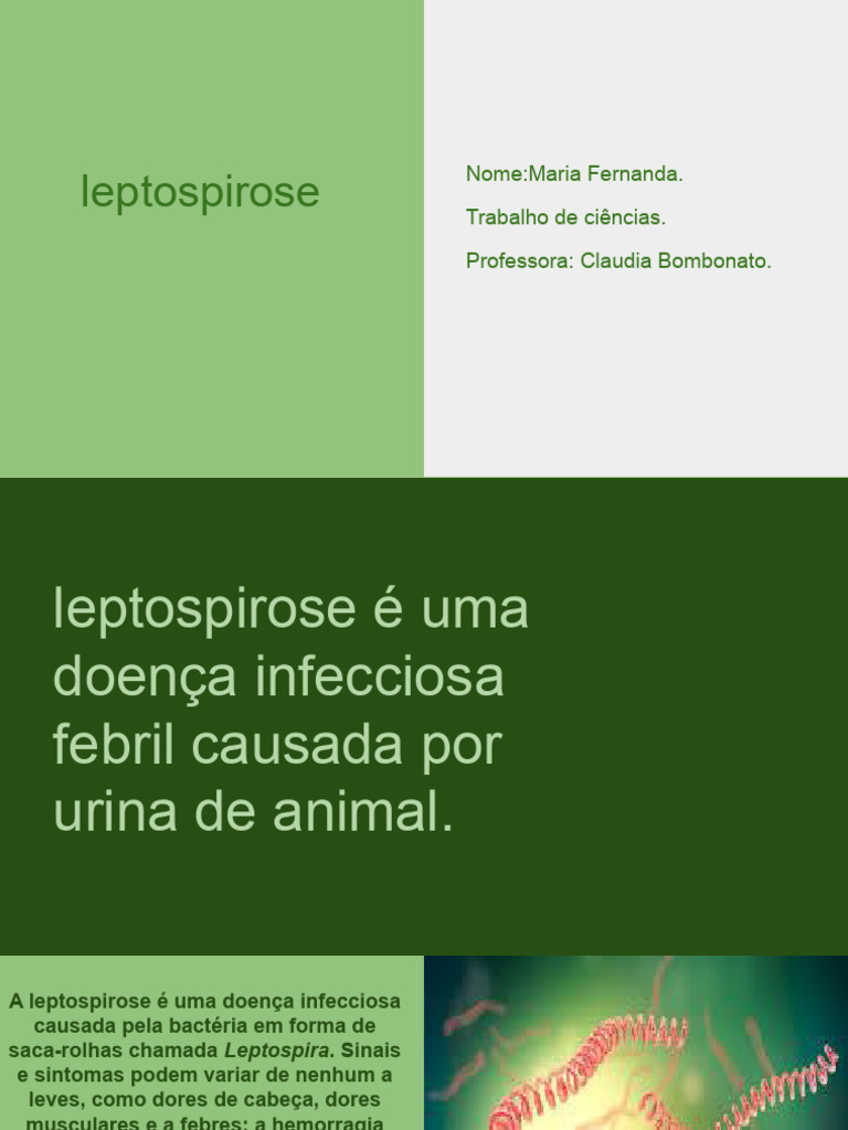 Projeto de Ciências Da Maria Fernanda 7c | PDF