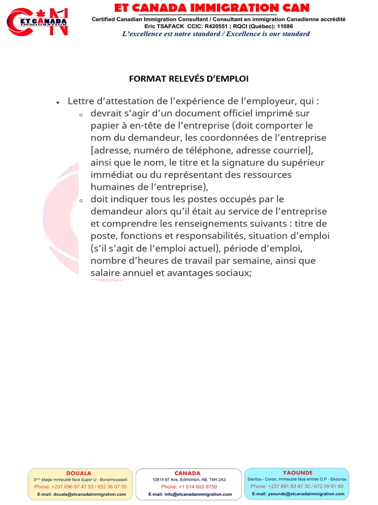 FORMAT RELEVÉS D'EMPLOI | PDF