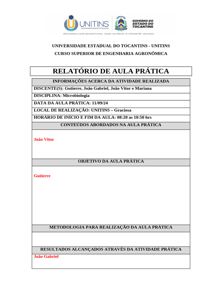 MODELO-RELATORIO-DE-AULA-PRATICA-2024 | PDF