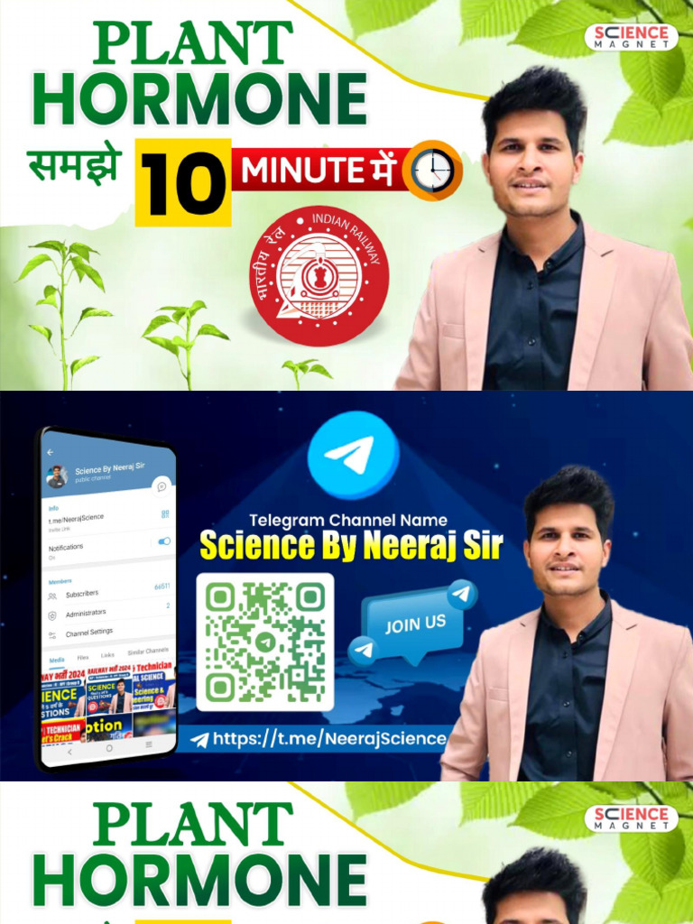 Plant Hormone 10 Minutes | PDF | Plant Hormone | Auxin