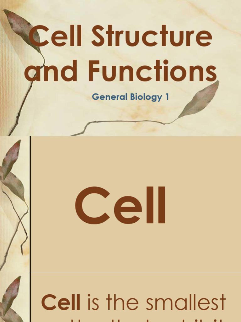 Cell Structure and Functions | PDF