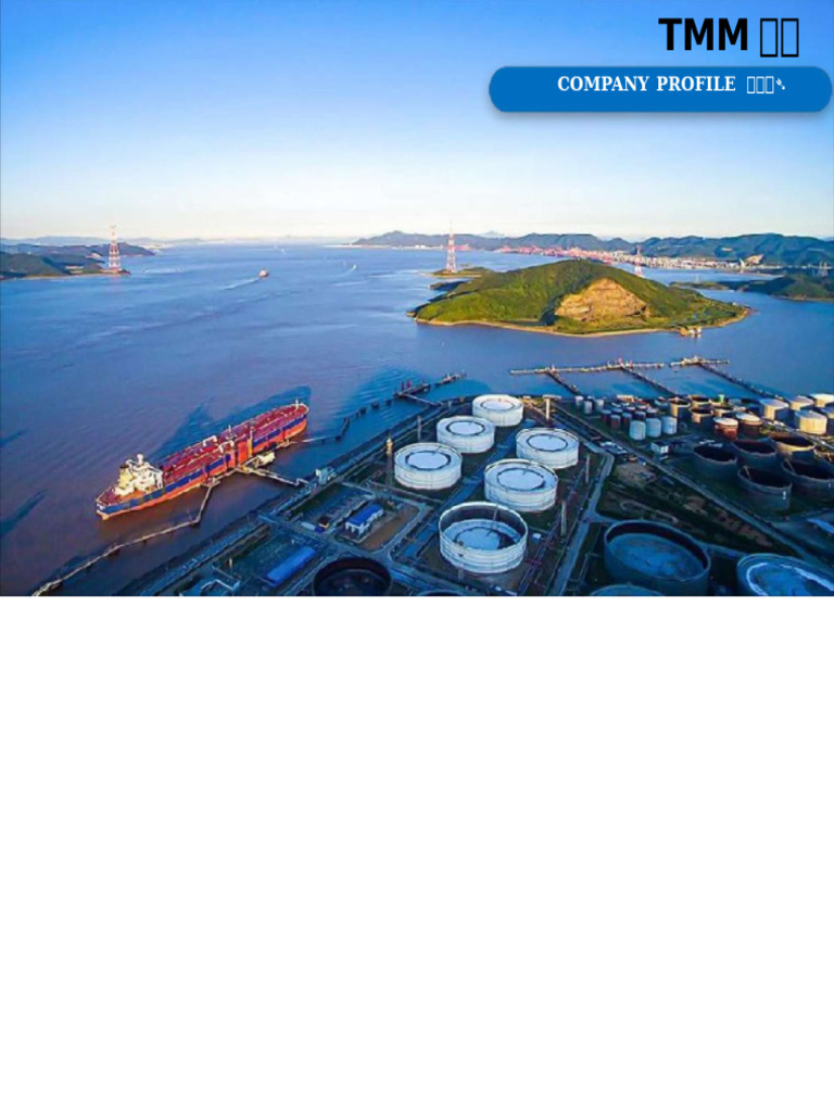 Dossier TMM - FULL - Compressed | PDF | Tonnage | Significant Figures