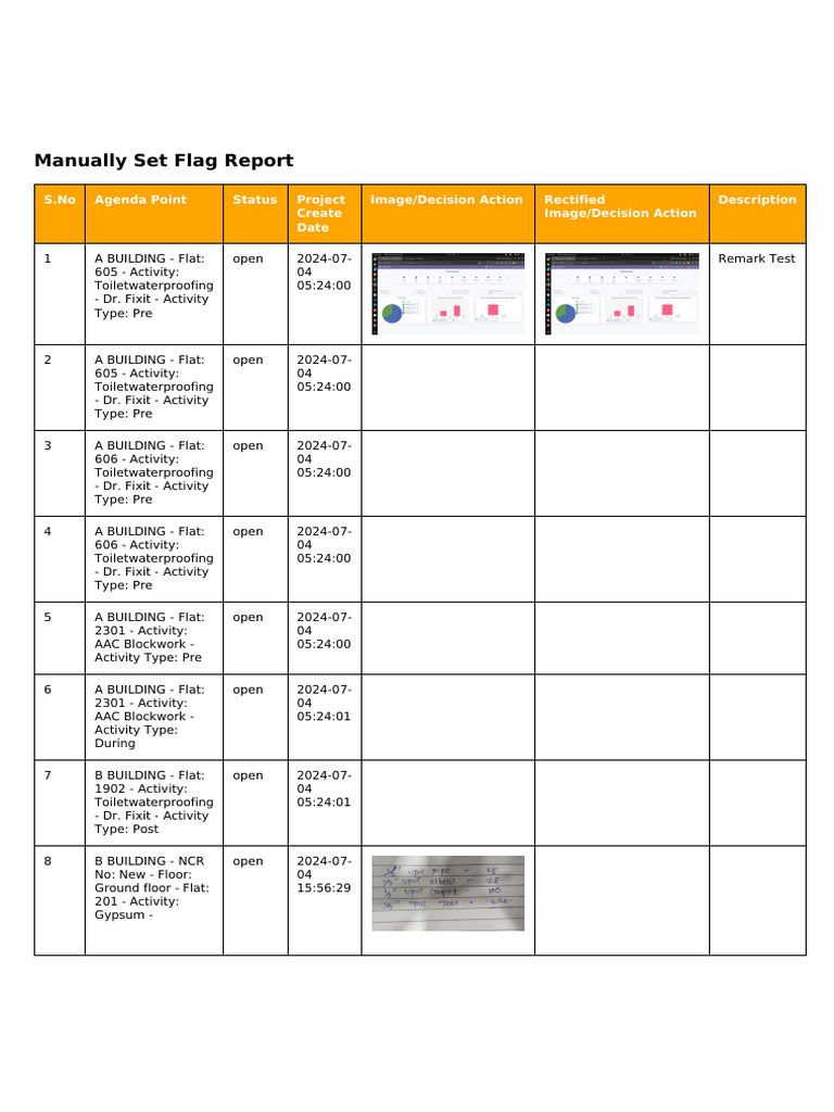 Manually Set Flag Report | PDF