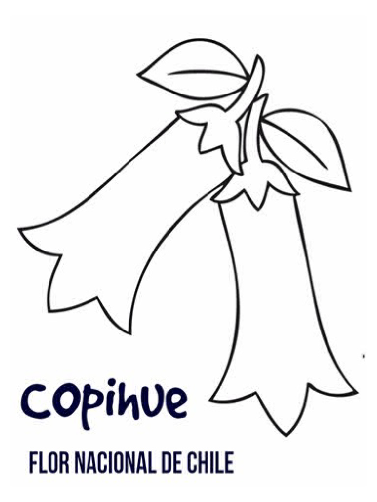copihue | PDF
