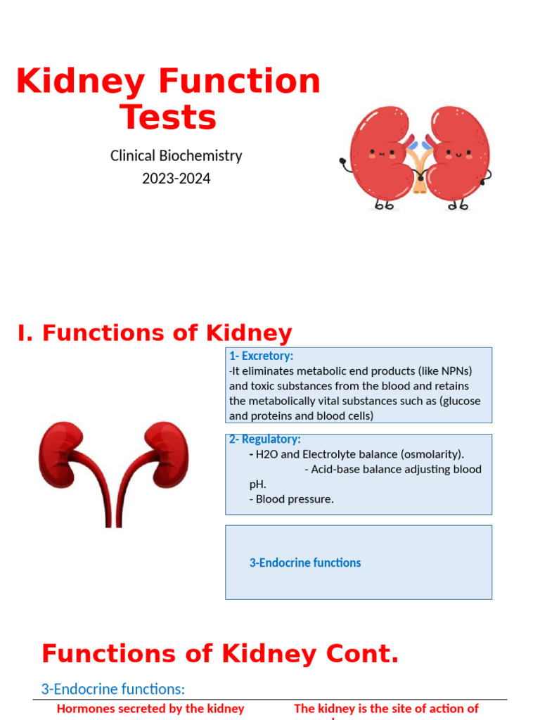Kidney Function Tests | PDF
