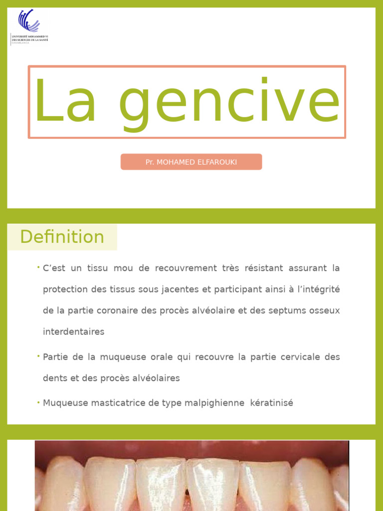 La Gencive | PDF