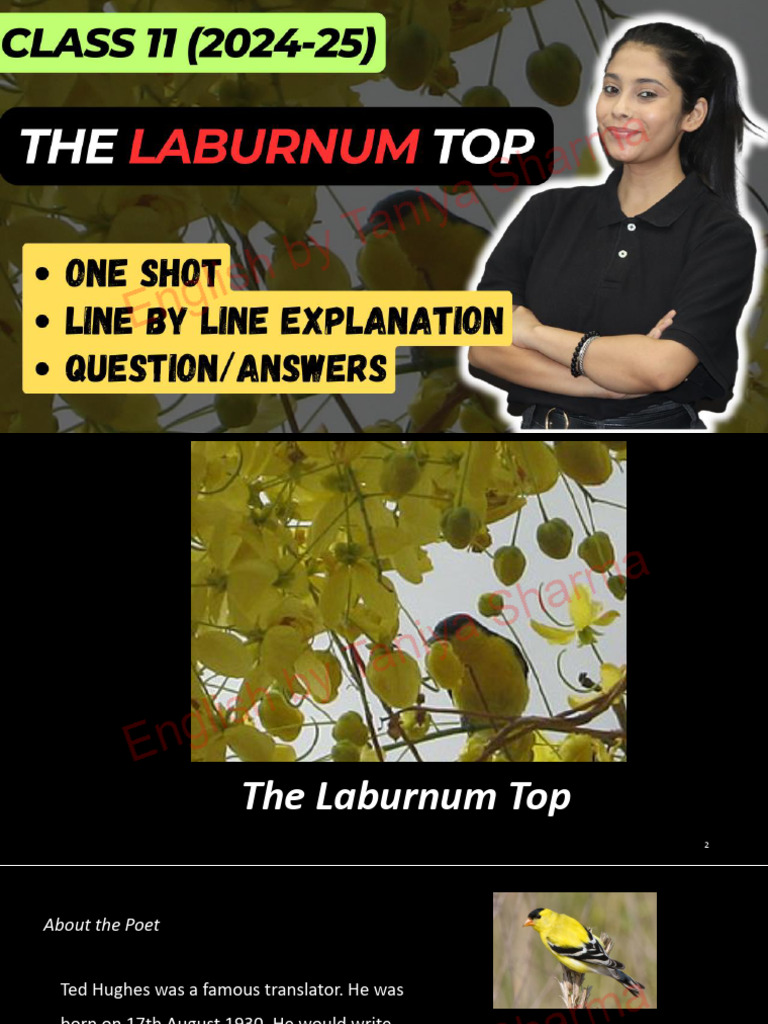 The Laburnum Top | PDF