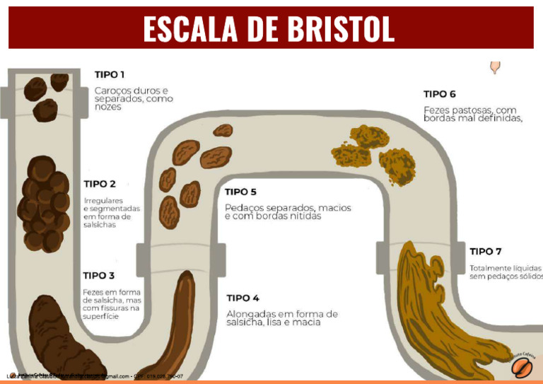 Escala de Bristol | PDF