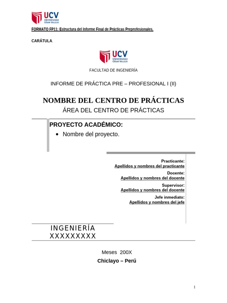 Formato Fp11-Estructura Del Informe Final | PDF