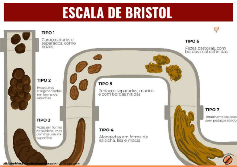 Escala Bristol | PDF