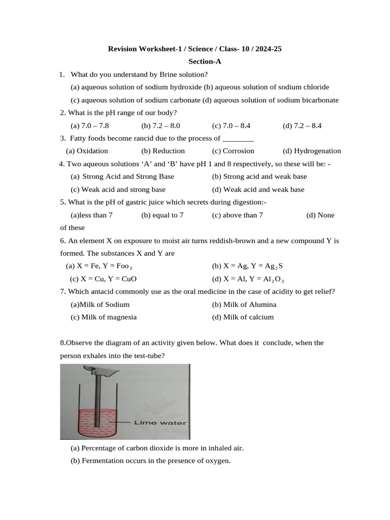 Class 10 Science term 1 worksheet | PDF Class 10 Science term 1 worksheet | PDF