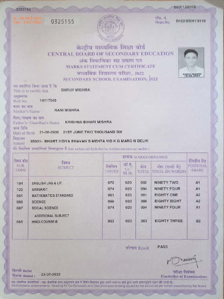10th Marksheet Dhruv | PDF