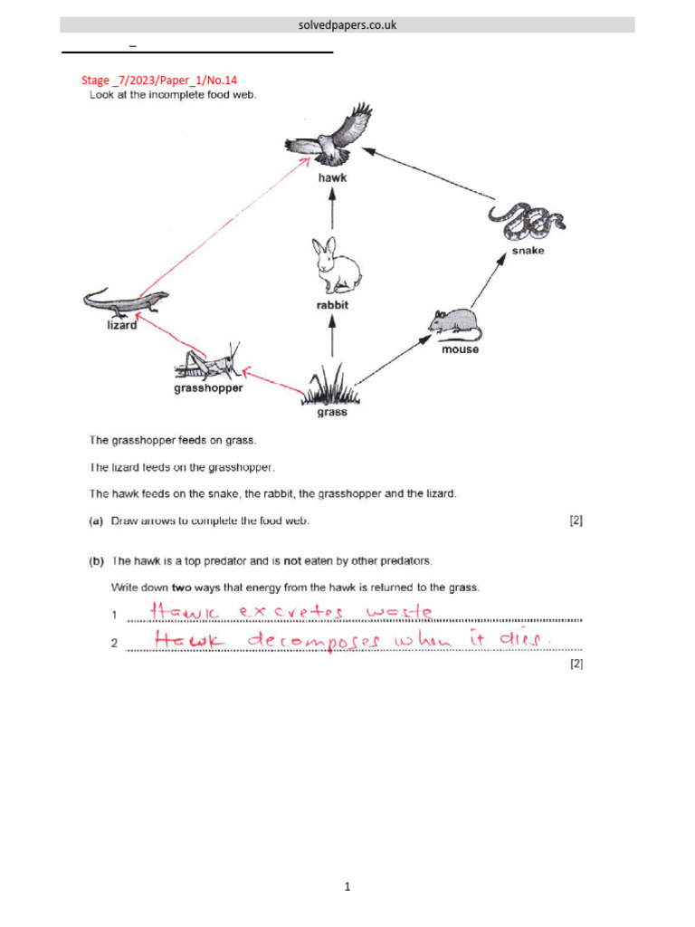 2023 22 Food Chain Checkpoint Sec 1 Progression Stage 7 Solved | PDF