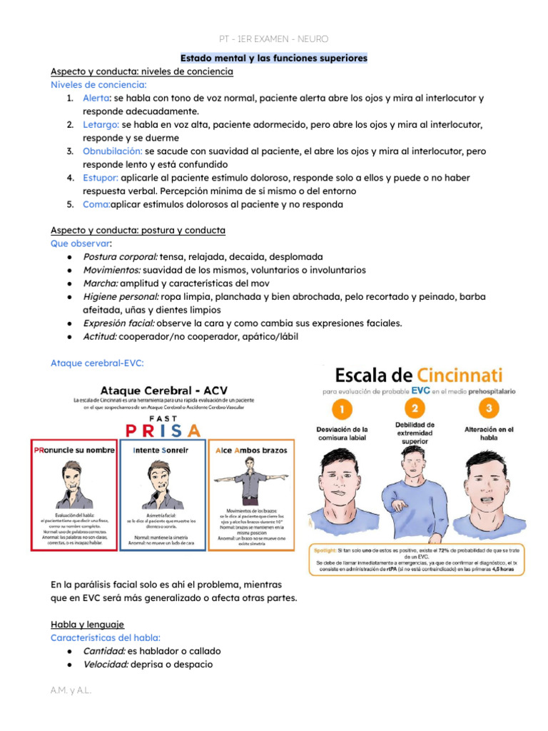 PT - 1er Examen - Neuro | PDF