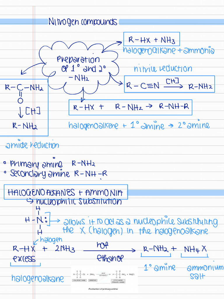 34 Nitrogen Compounds CLASS NOTES | PDF