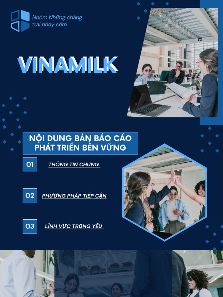 Báo Cáo Phát Triển Bền Vững Vinamilk | PDF