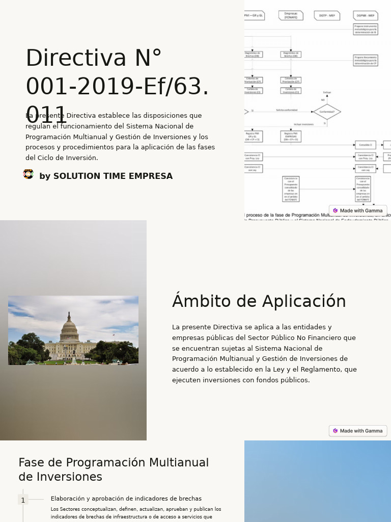 Directiva-N-001-2019-Ef63011 - 1 | PDF | Presupuesto | Negocios
