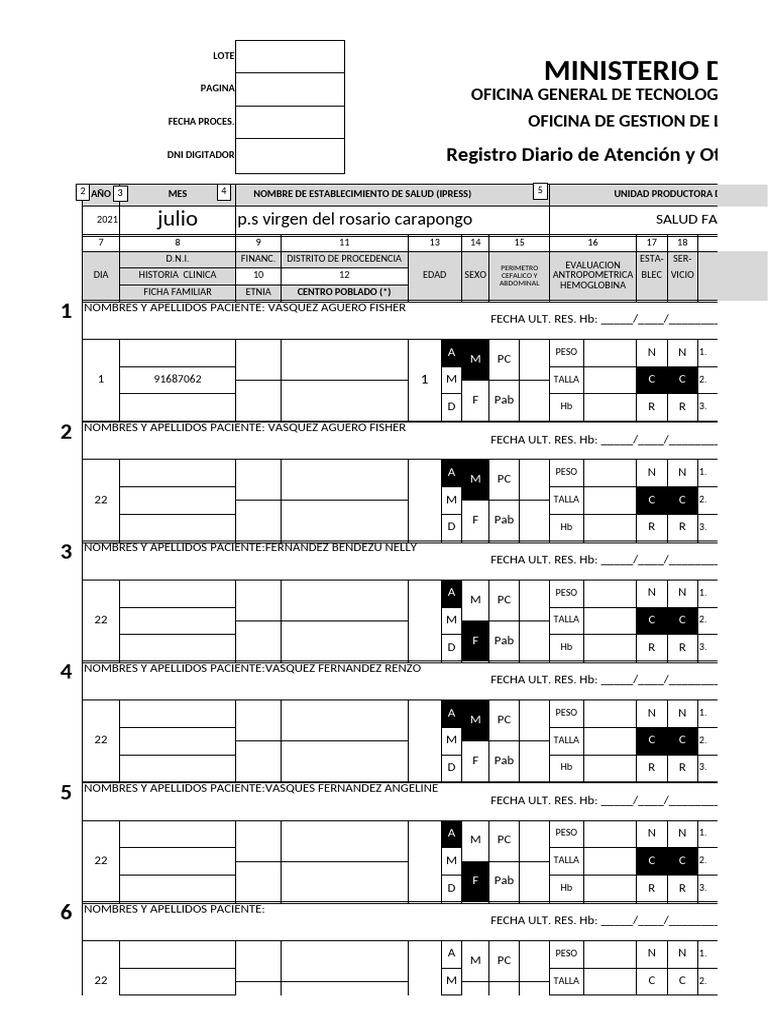 Formato HIS MINSA 2024 Carapongo | PDF