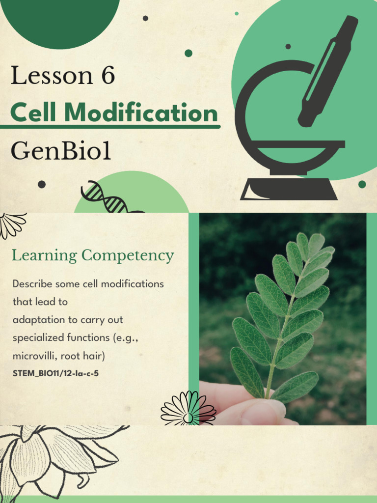 Cell - Modification and Specialization | PDF | Cell (Biology) | Neuron