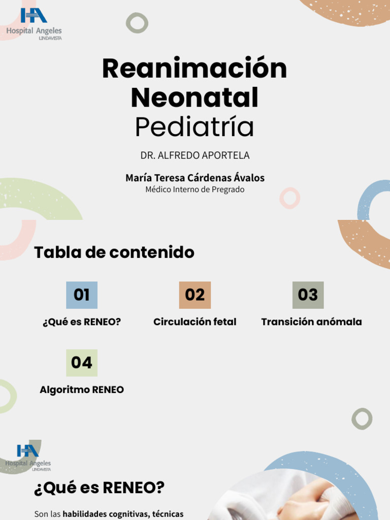 Reneo 2024 | PDF