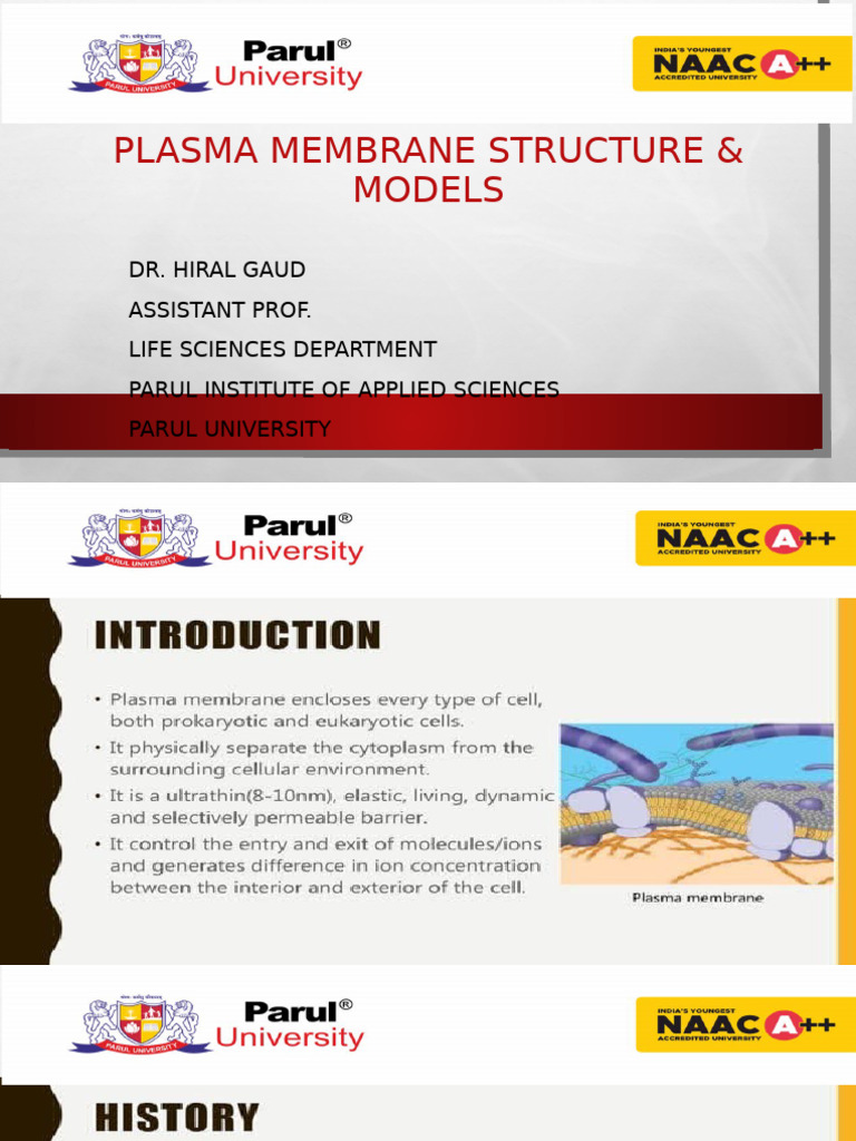 Plasma Membrane Structure & Models | PDF