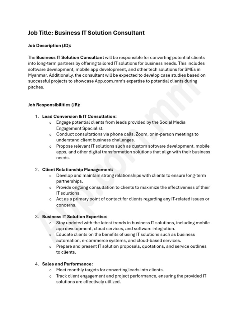 Business IT Consultant Role Myanmar | PDF | Consultant | Business
