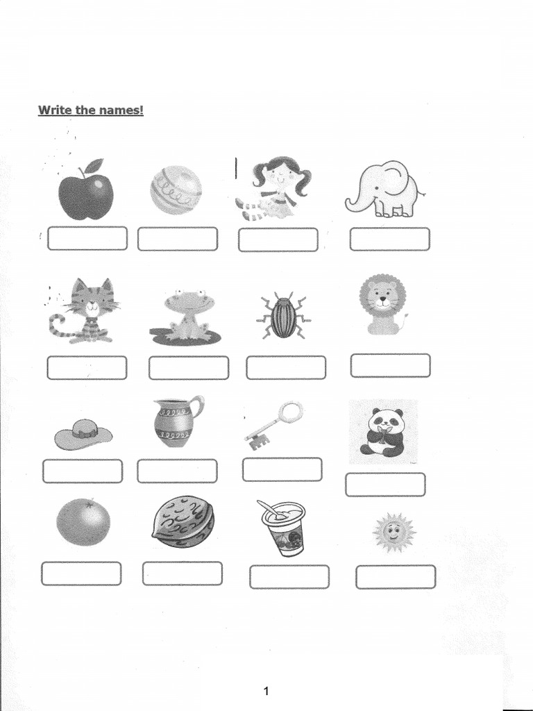 1st Grade Workbook Activities | PDF | Language Arts & Discipline
