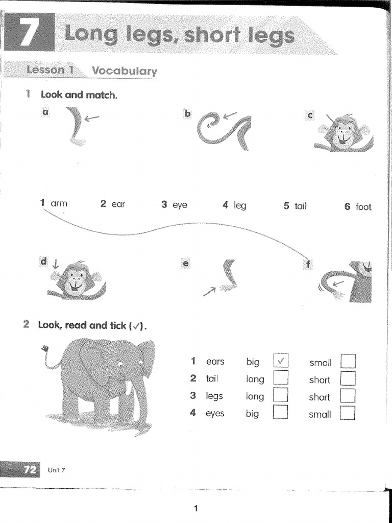 1st Grade Workbook 2 | PDF