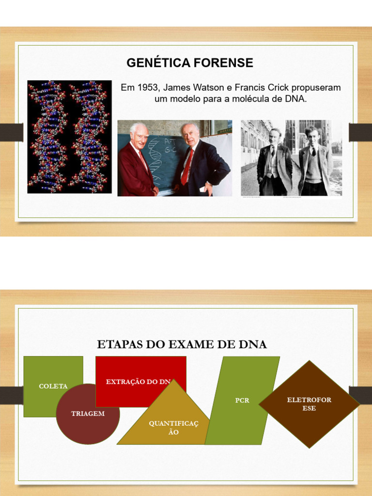 Aula 09 Dna | PDF