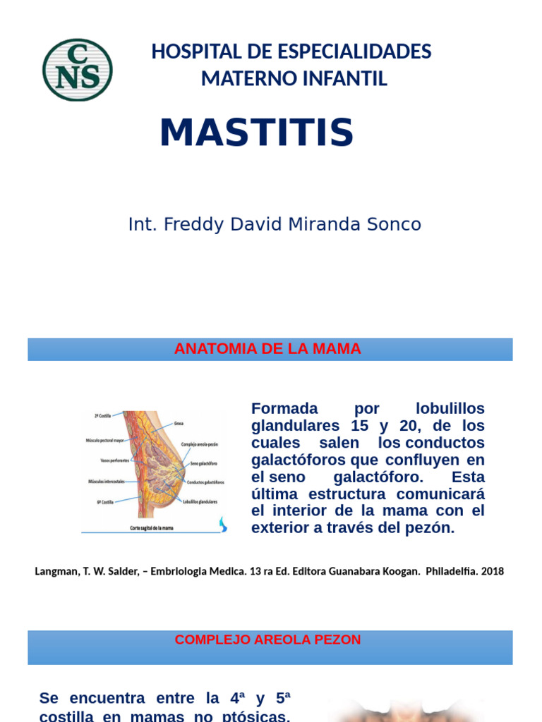 MASTITIS | PDF