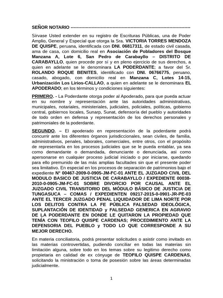Poder Testigo A Ruego | PDF