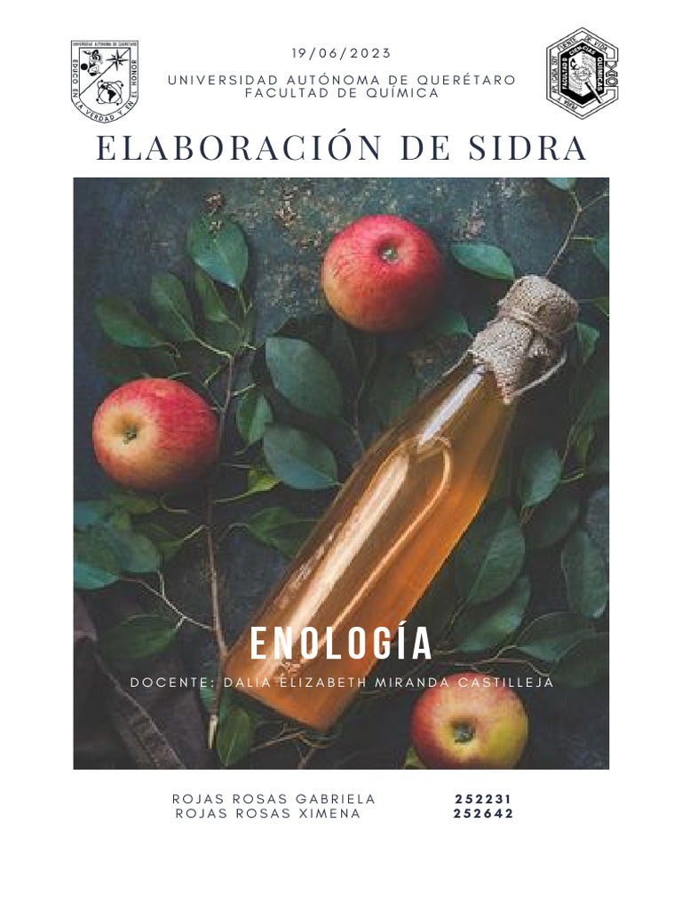 Elaboración de Sidra | PDF