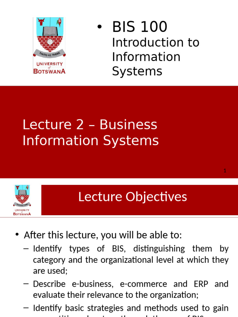 BIS100 Lecture 2 - Business Information Systems | PDF BIS100 Lecture 2 - Business Information Systems | PDF