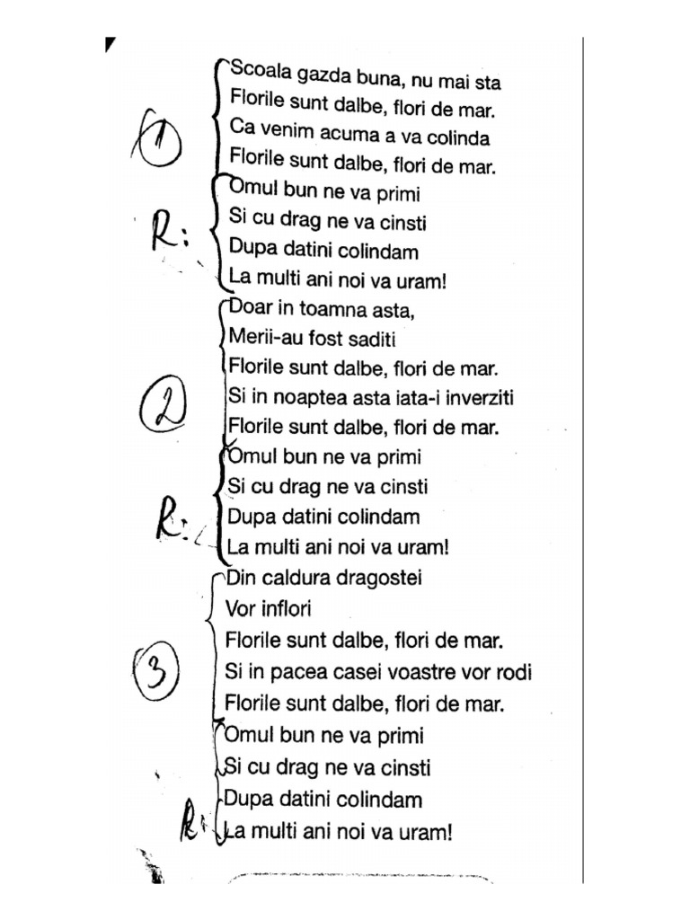 Florile Sunt Dalbe, Flori de Mar. | PDF