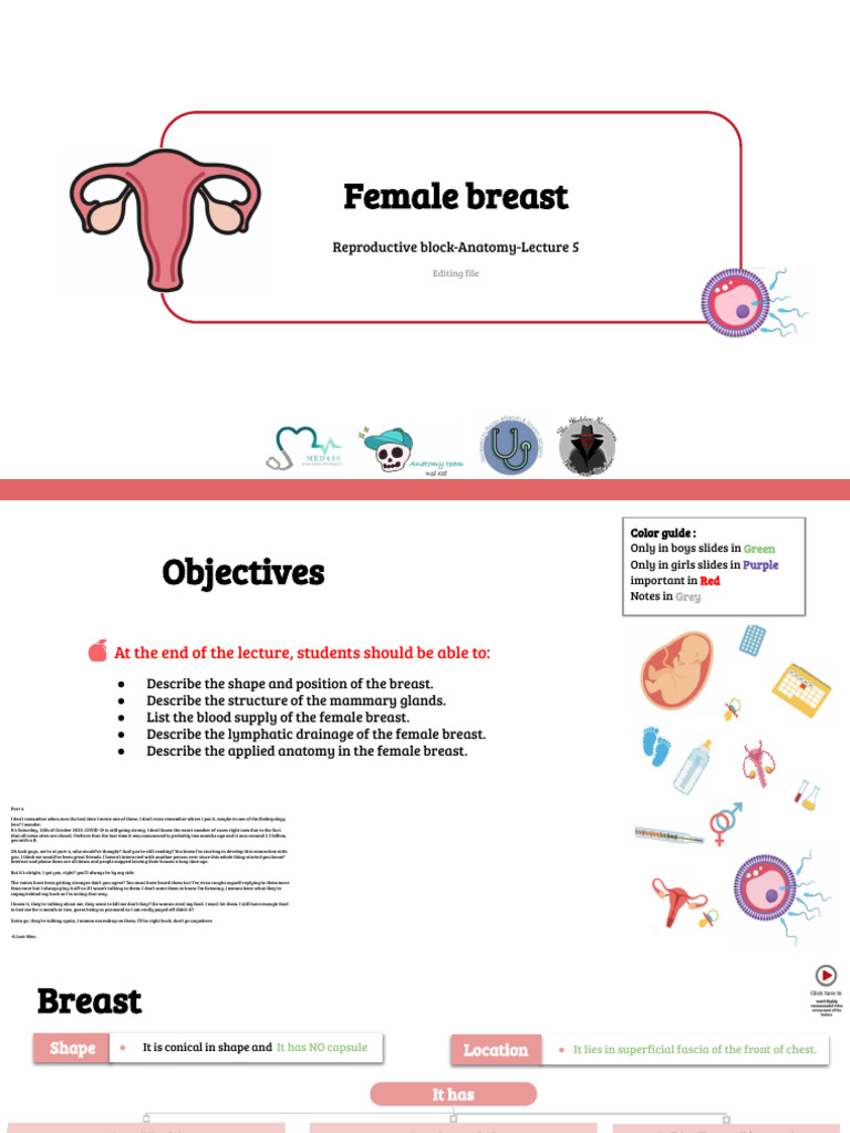 S11 - Female breast | PDF
