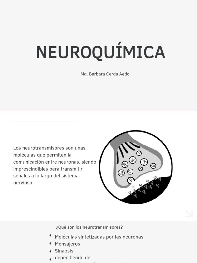 CLASE NEUROQUÍMICA impre | PDF