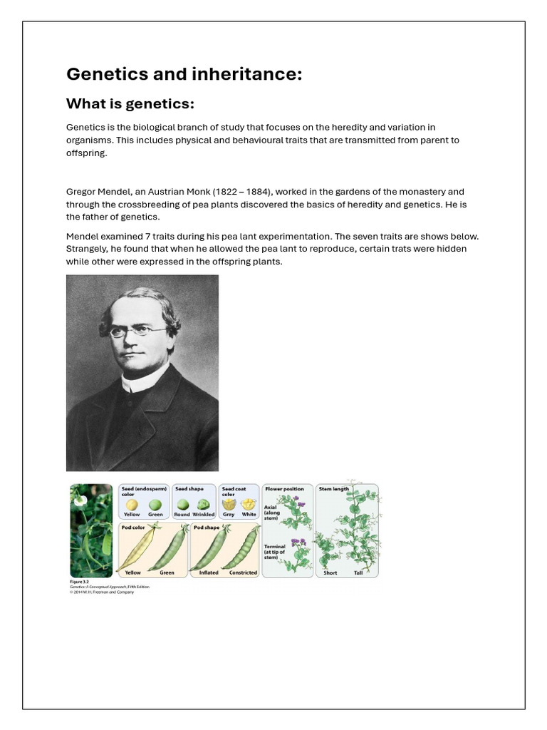 Genetics and inheritance Gr 12 | PDF