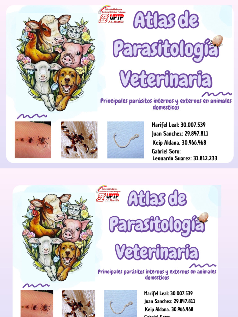 Atlas 20240408 162510 0000 | PDF