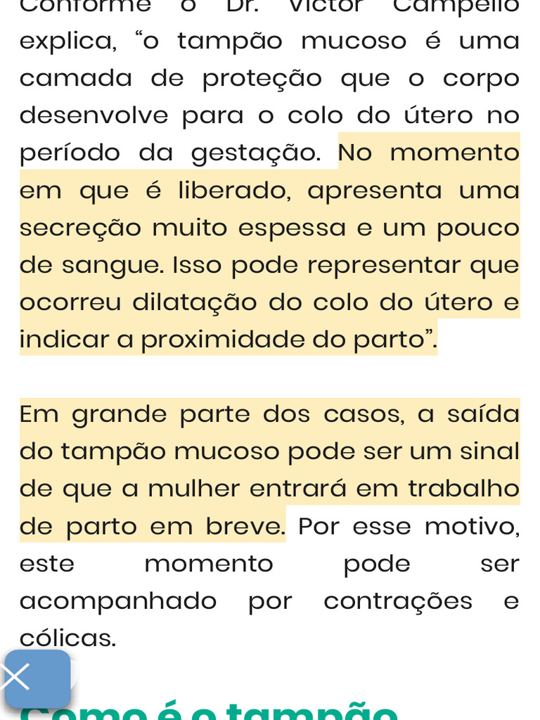 Tampão Mucoso o Que É, Qual É A Sua Função e Quando Sai | PDF