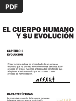 Dryopithecus | PDF | Hominidae | Homo Sapiens